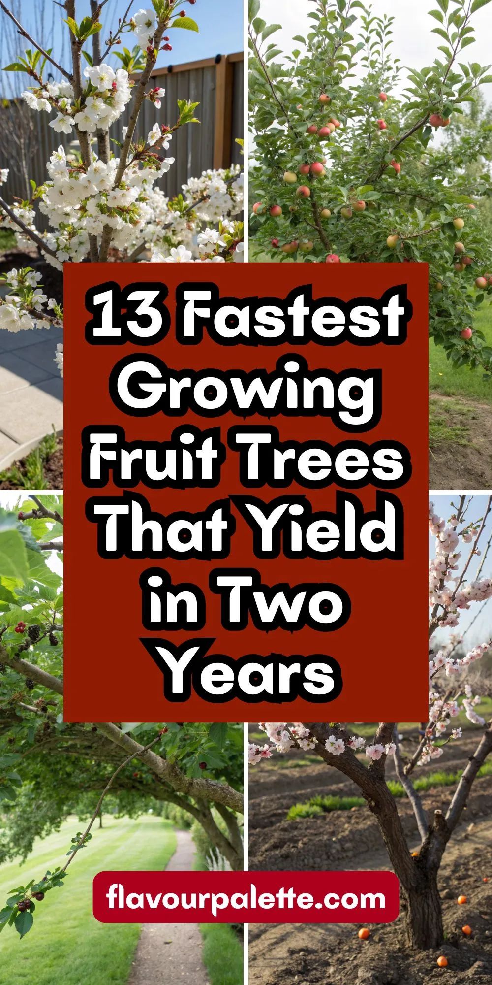13 Fastest Growing Fruit Trees That Yield In Two Years