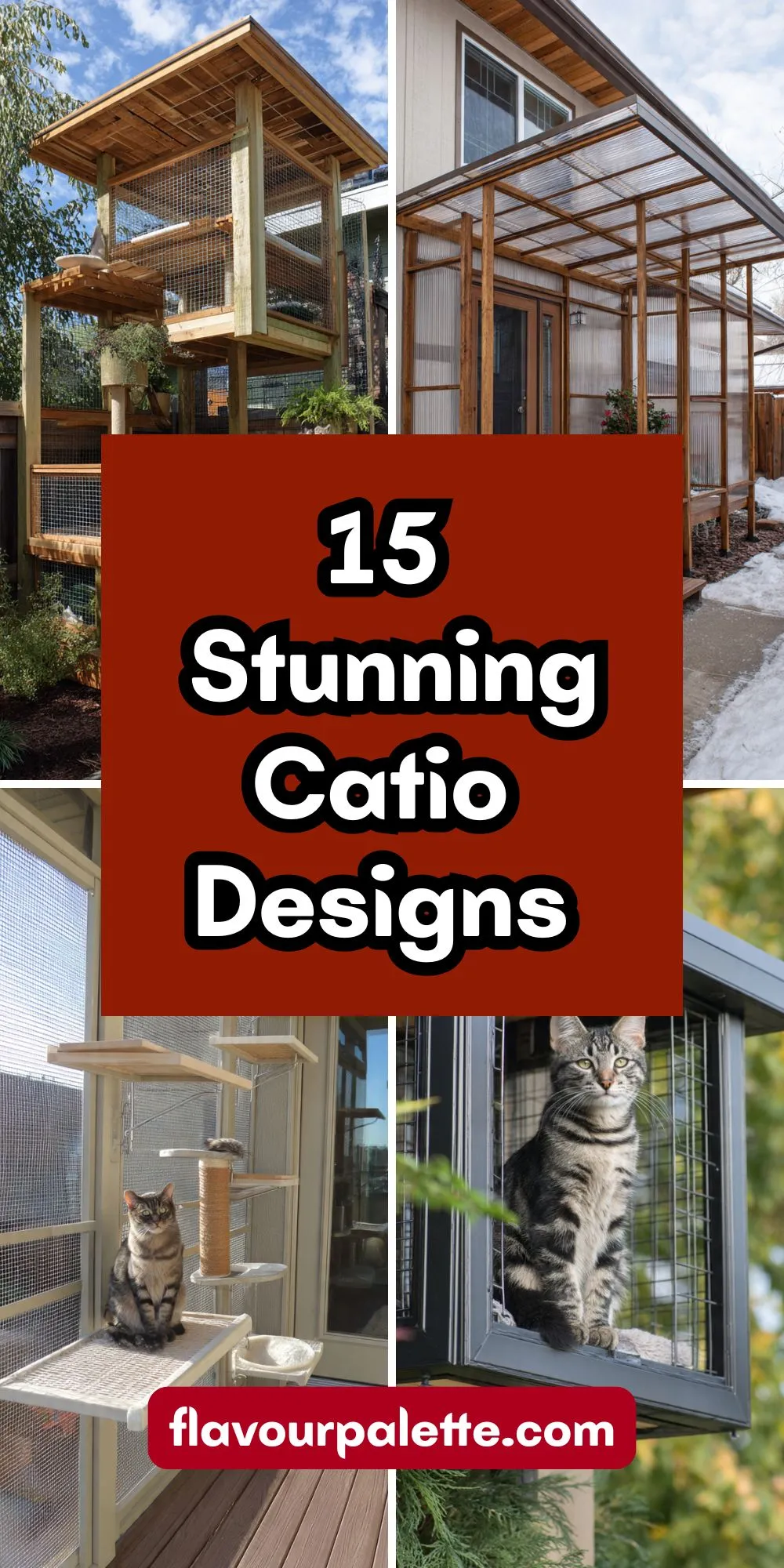 15 Stunning Catio Designs That Blend Style, Safety, And Comfort